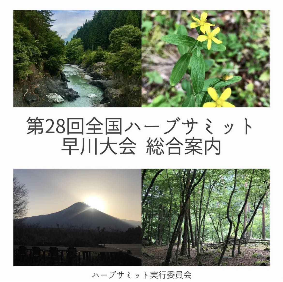 【出店】第28回全国ハーブサミット早川大会 ｜ 一般社団法人ハーブボールセラピスト協会